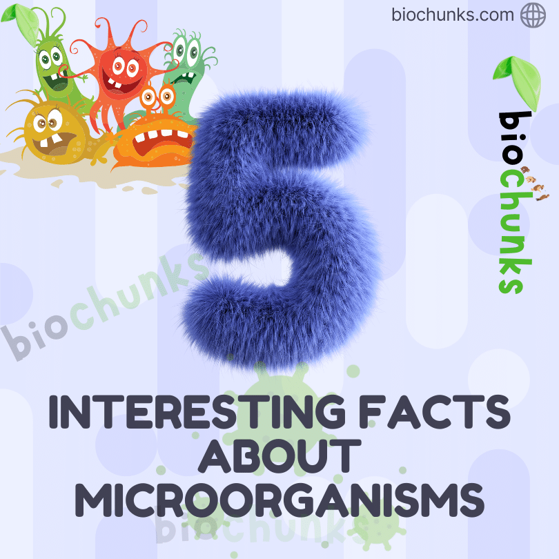 Microorganisms: Friend and Foe - #1 best NCERT Notes 🙂 – Easy to ...