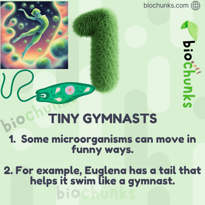 Microorganisms: Friend and Foe - #1 best NCERT Notes 🙂 – Easy to ...