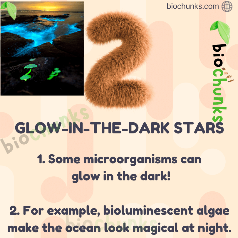 Microorganisms: Friend and Foe - #1 best NCERT Notes 🙂 – Easy to ...
