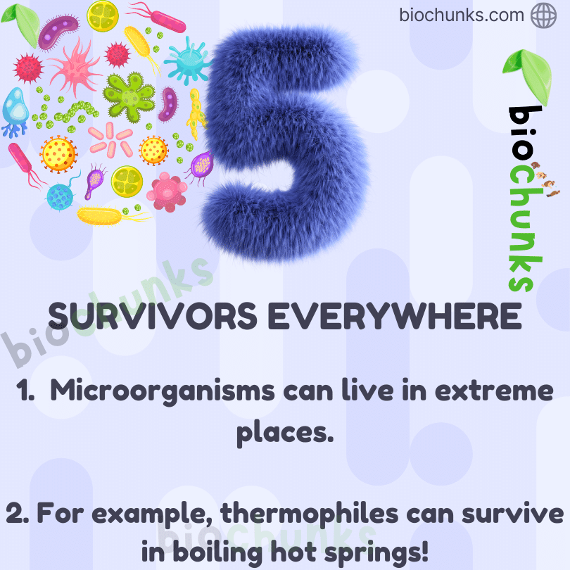 Microorganisms: Friend and Foe - #1 best NCERT Notes 🙂 – Easy to ...